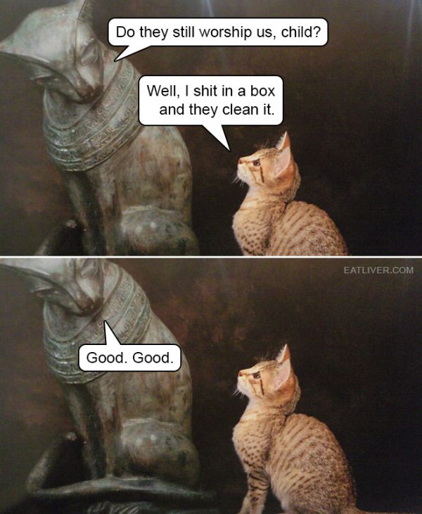 Good. Good. - Funny LOL Memes