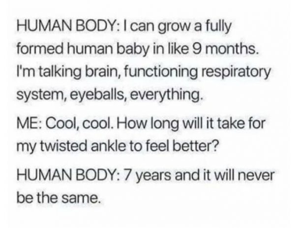 the human body - Funny LOL Memes