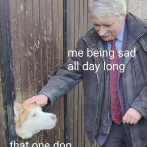 i wish ... 2 - Funny LOL Memes