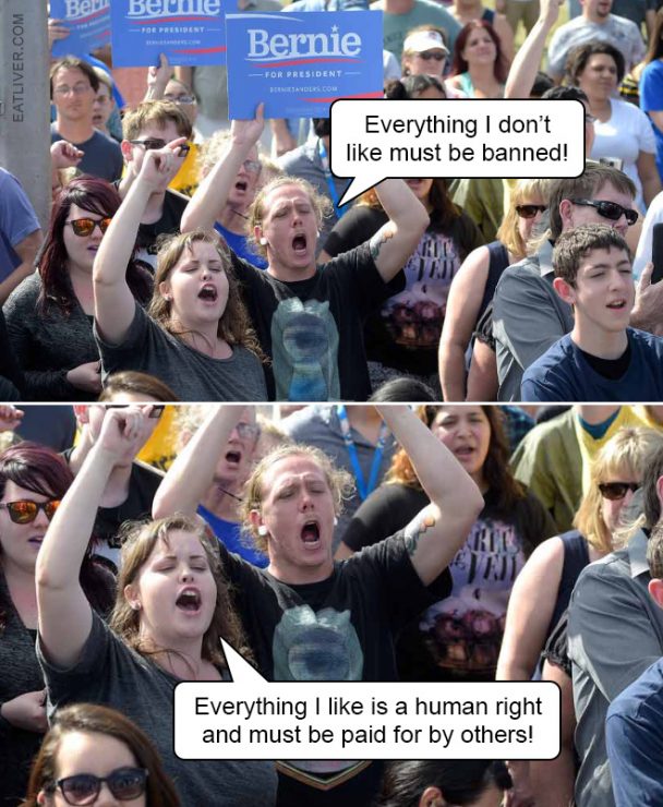 Typical Liberal Logic - Funny LOL Memes