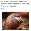 on thanksgiving - Funny LOL Memes